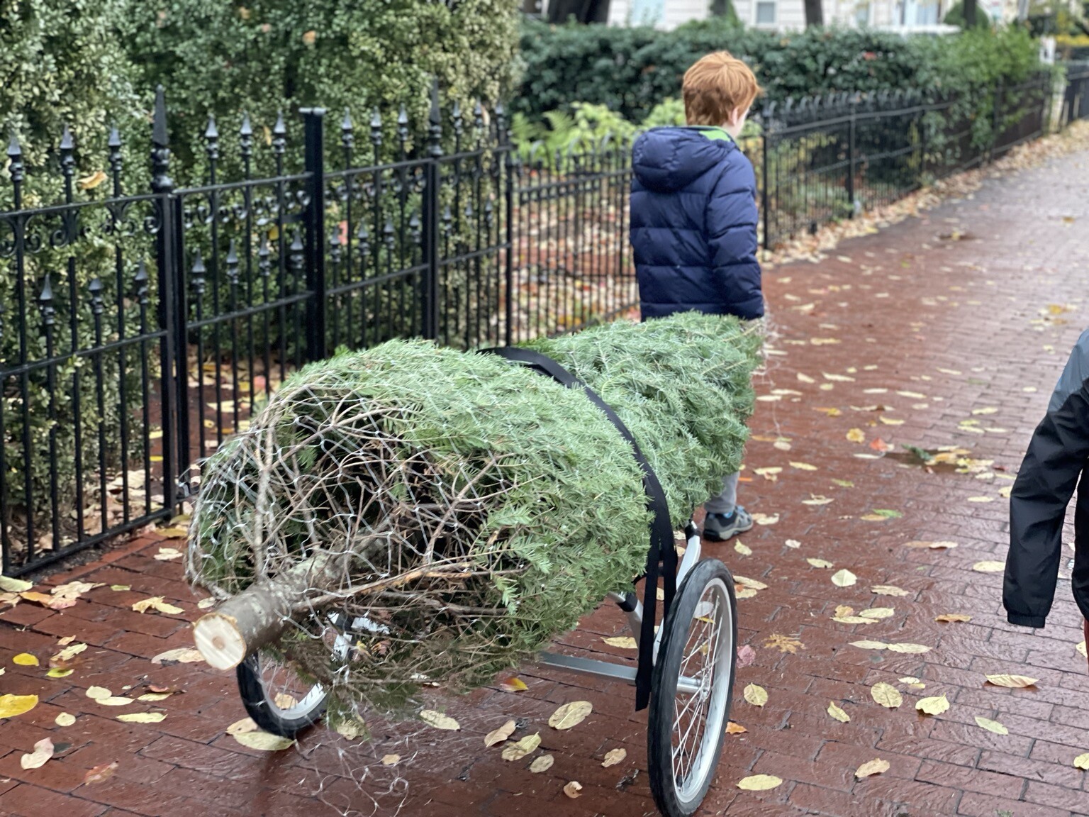 Andrew Turner (@ajturner@nullisland.social) - Null Island Social